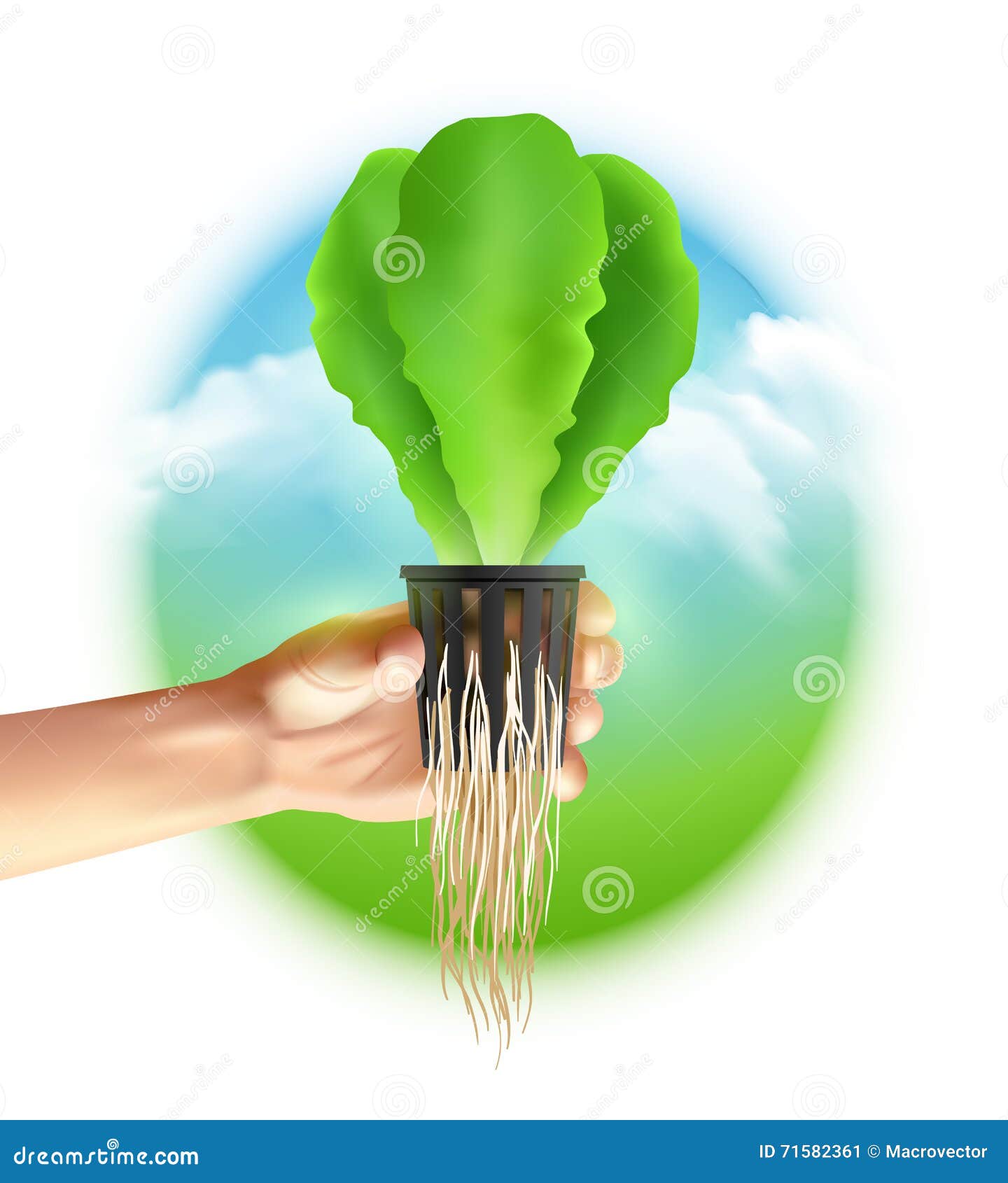 Hydroponics System Poster Vector Illustration | CartoonDealer.com ...