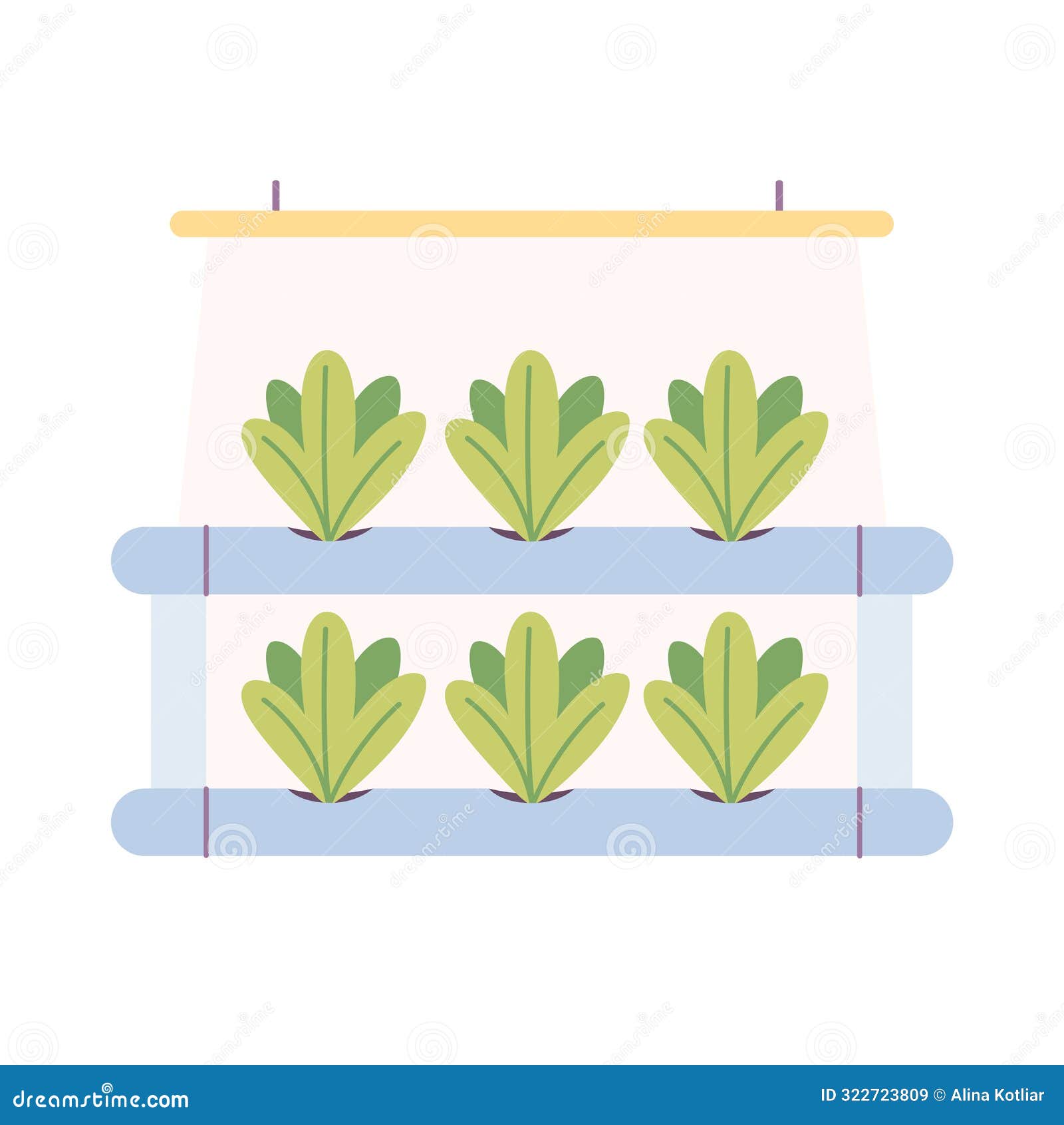 Hydroponics Technology for Plants Growing. Vertical Farming. Smart Farm ...