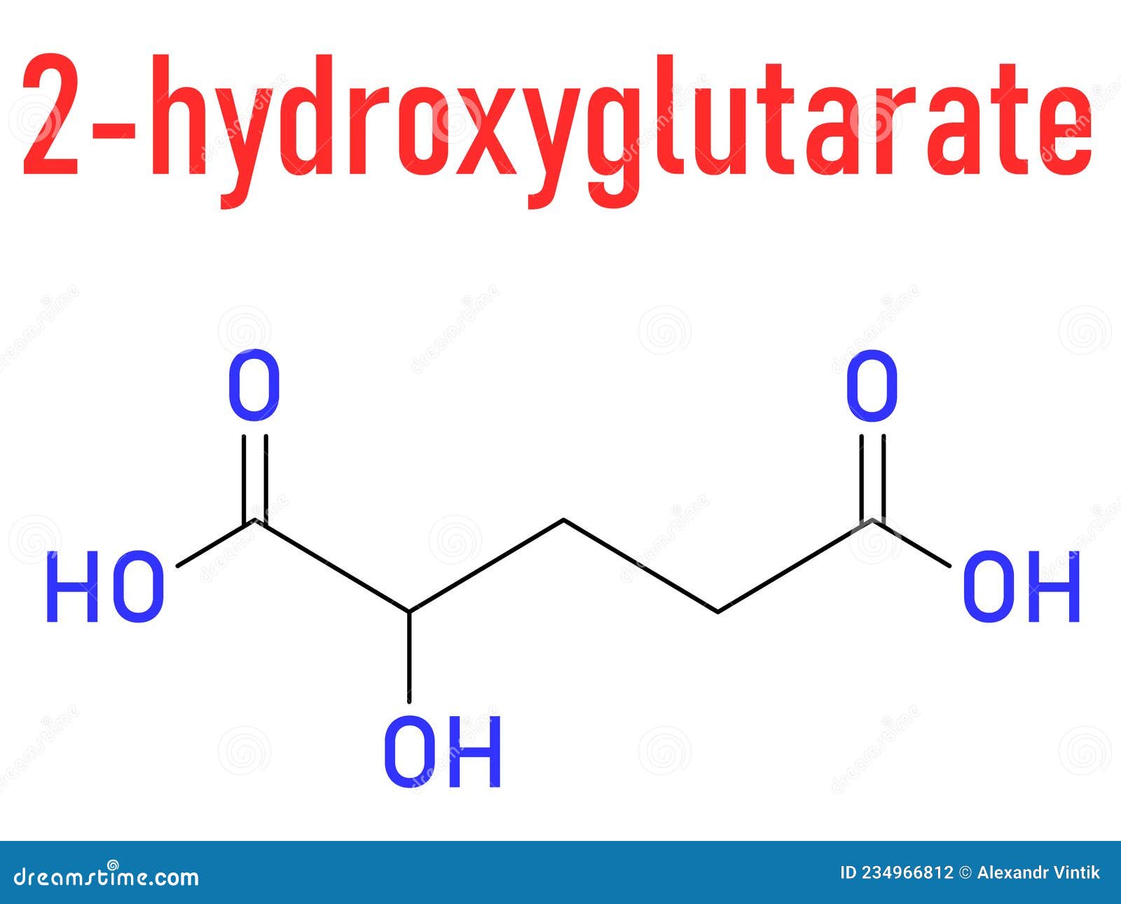 2-hydroxyglutarate Molecule. Skeletal Chemical Formula Stock ...