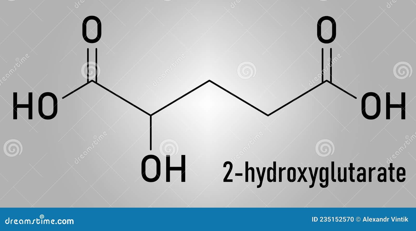 2-hydroxyglutarate Molecule. Skeletal Chemical Formula Stock Vector ...