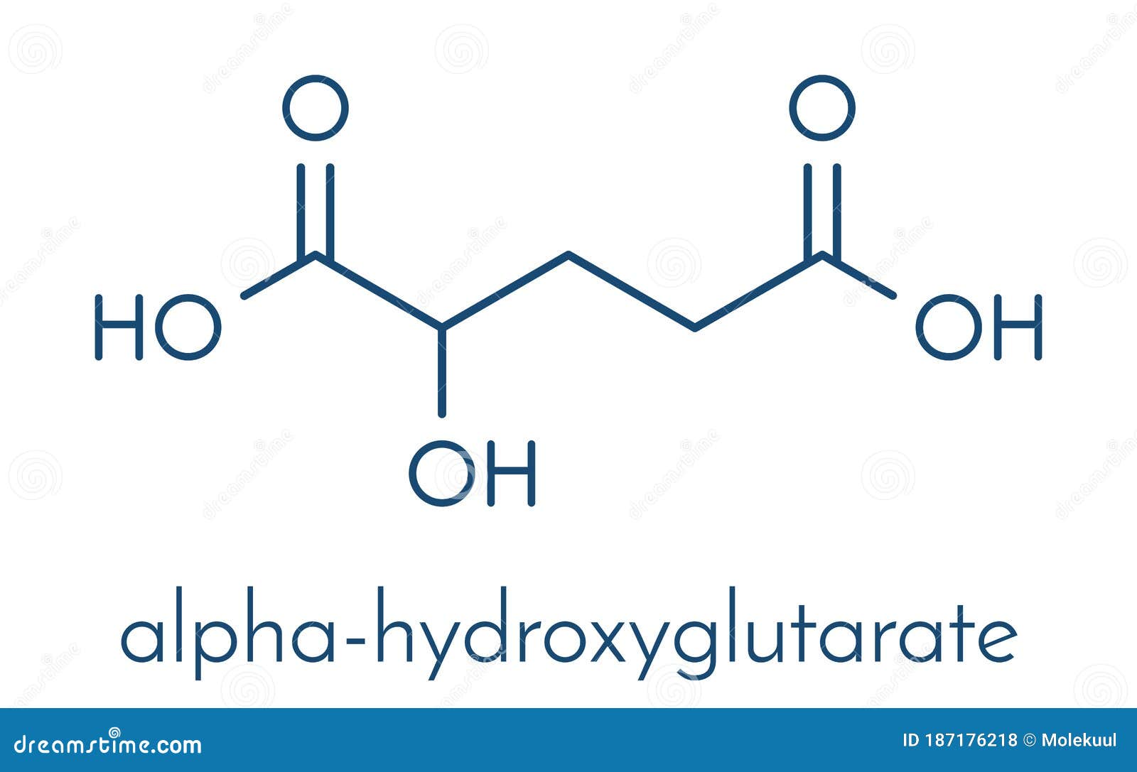 2-hydroxyglutarate Molecule. Skeletal Formula. Stock Vector ...