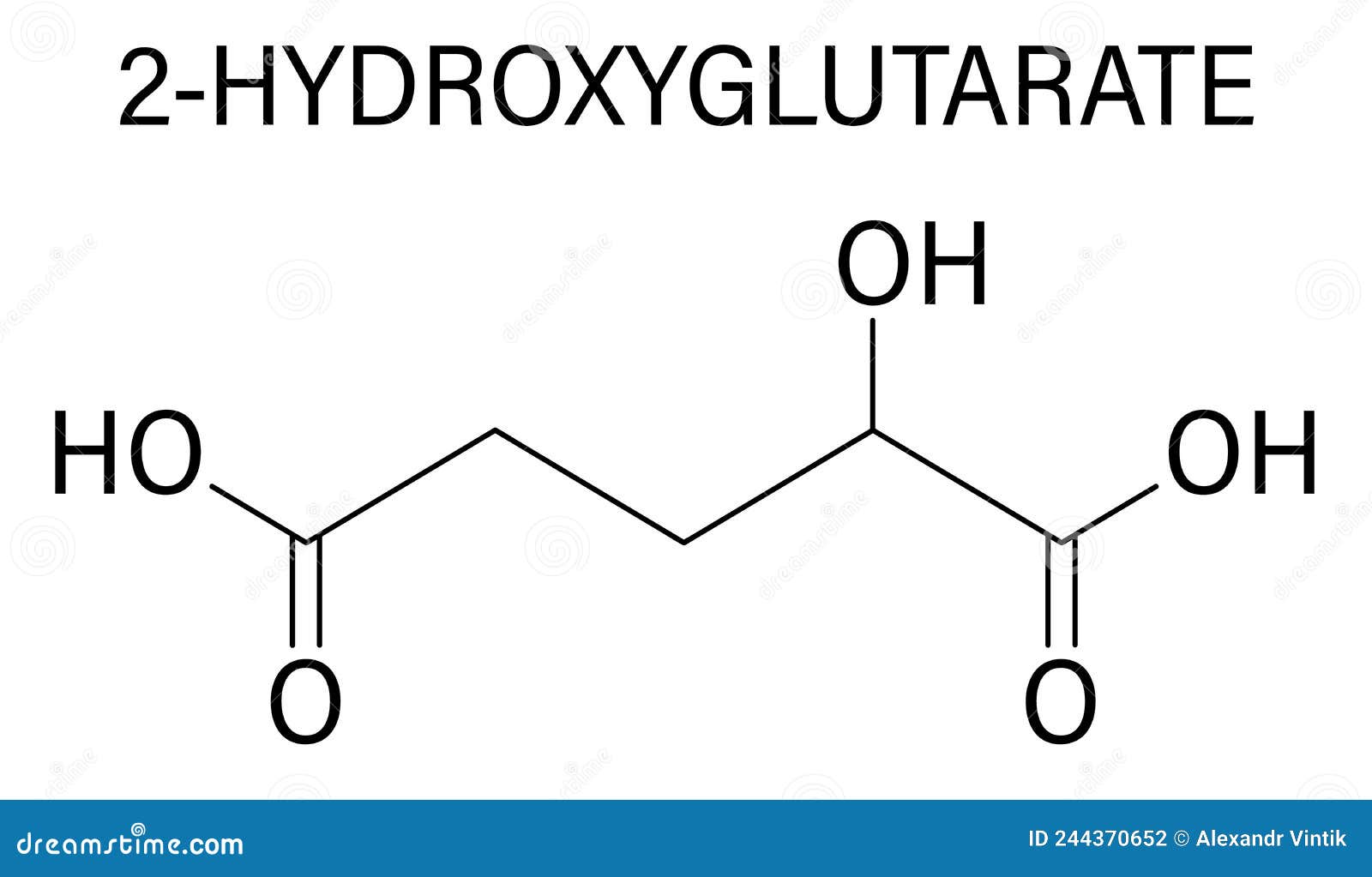 2-hydroxyglutarate Molecule. Skeletal Formula. Stock Vector ...