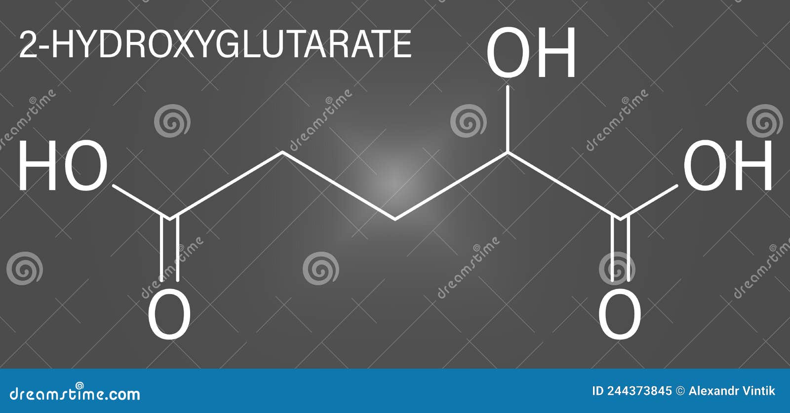 2-hydroxyglutarate Molecule. Skeletal Chemical Formula. Flat Design ...