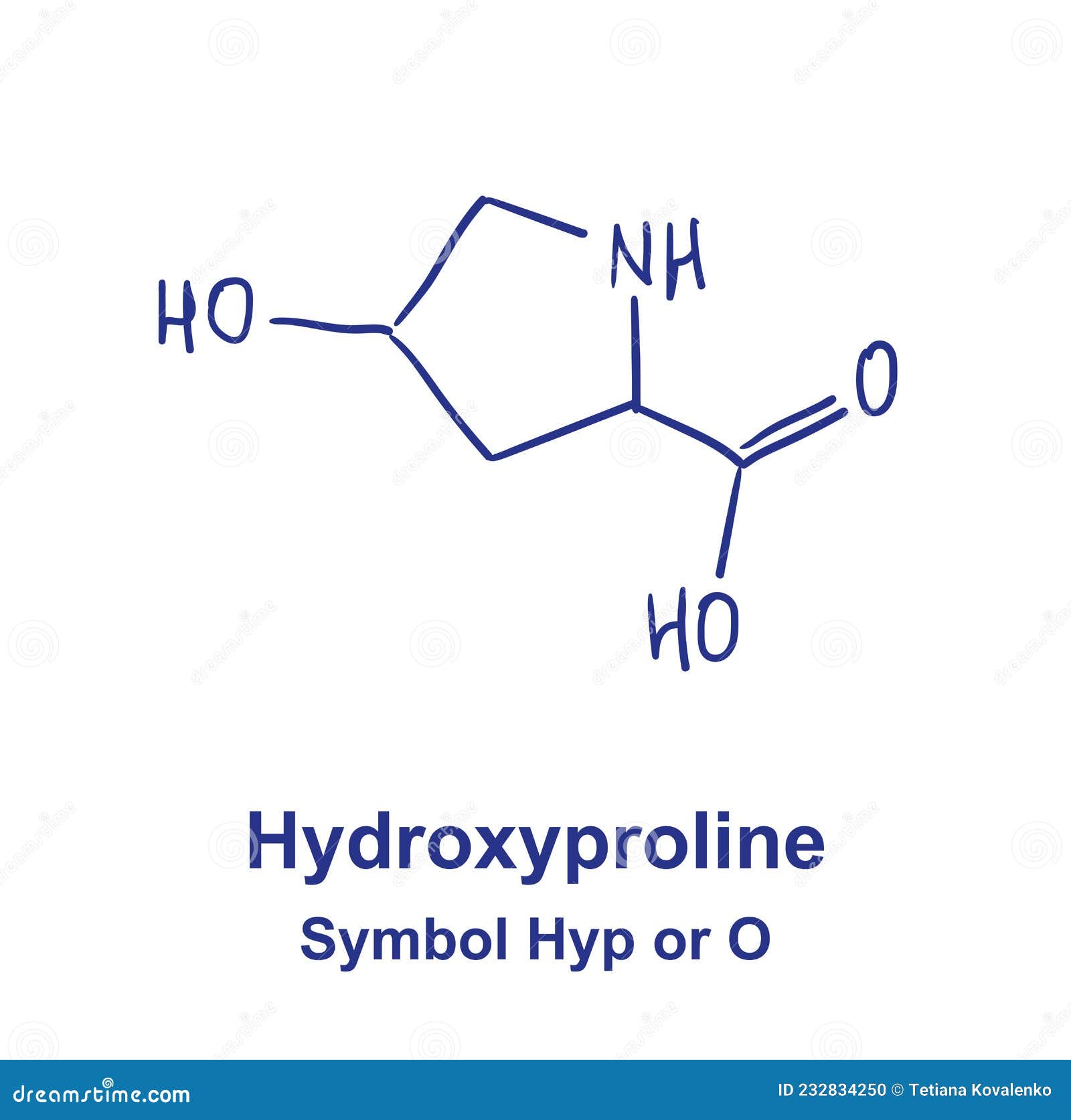 Hydroxyproline Chemical Structure. Vector Illustration Hand Drawn ...