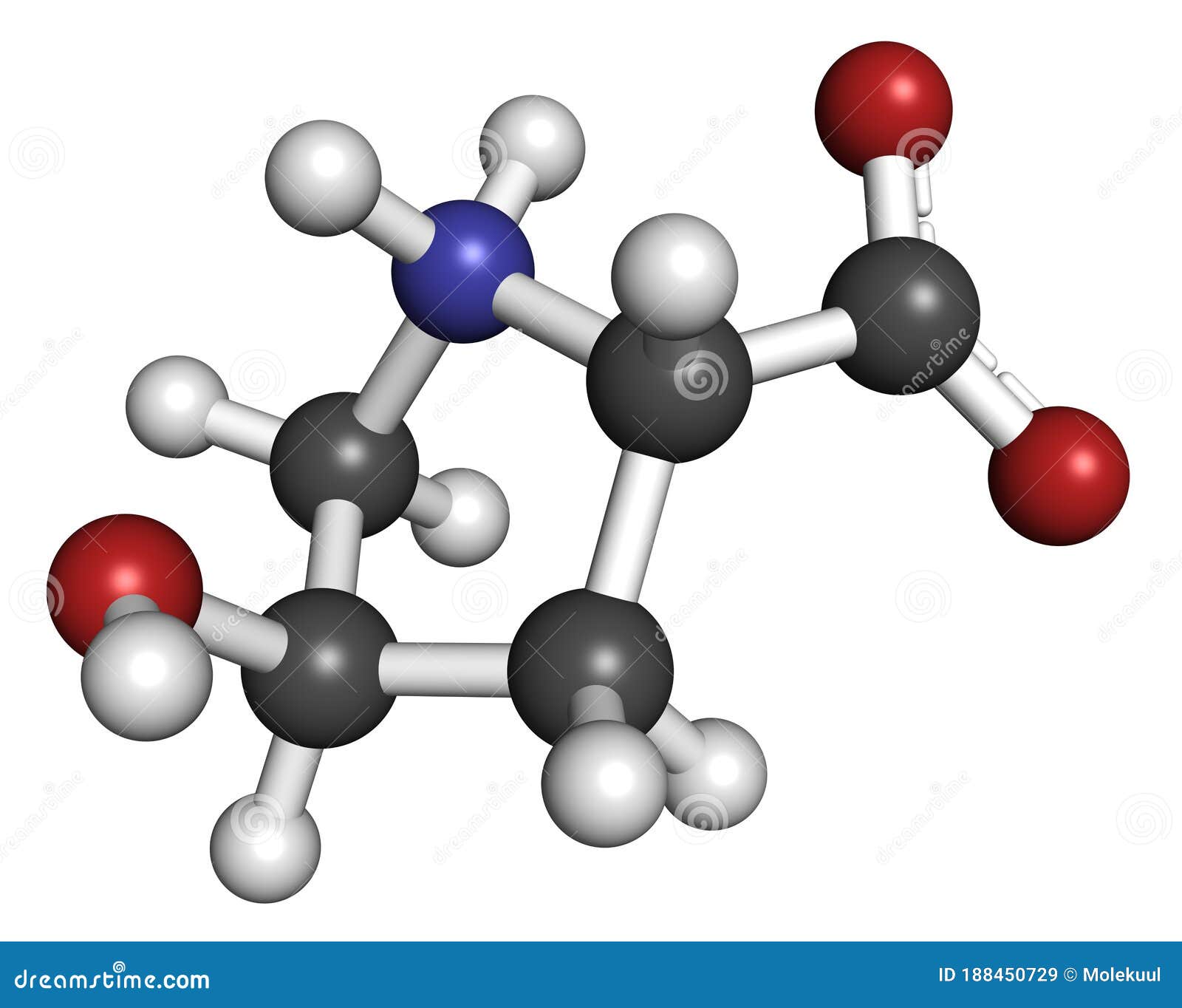 Hydroxyproline (Hyp) Amino Acid. Essential Component of Collagen Stock ...