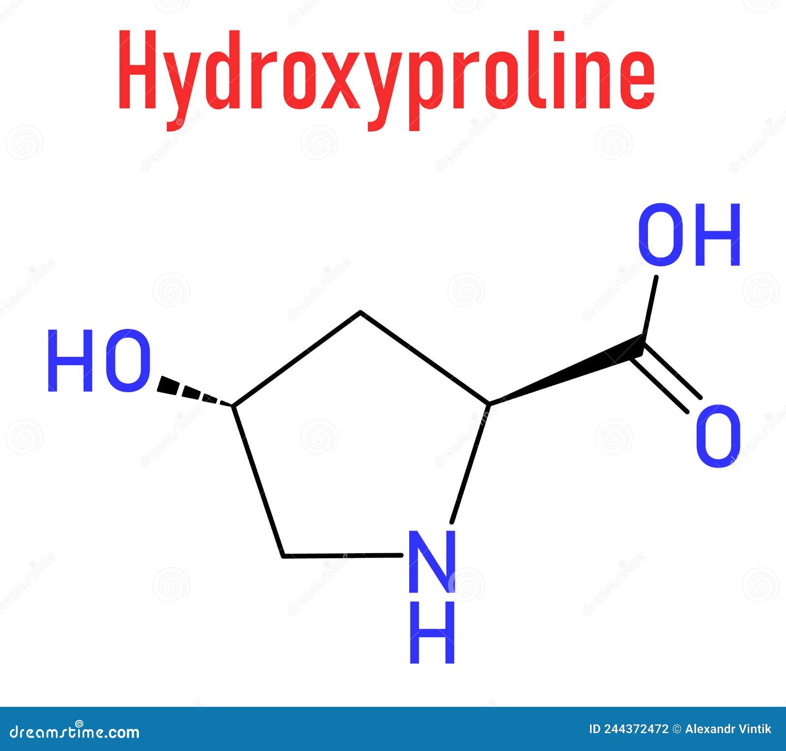 Hydroxyproline, Hyp Amino Acid. Essential Component of Collagen ...