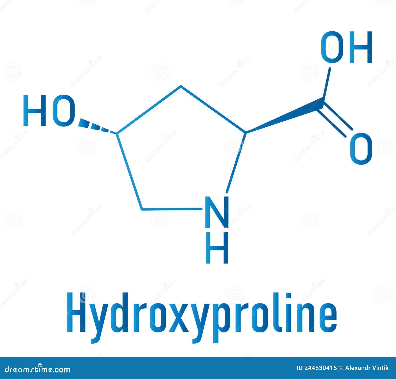 Hydroxyproline, Hyp Amino Acid. Essential Component of Collagen ...