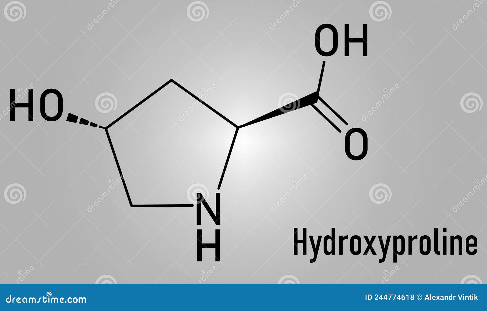 Hydroxyproline, Hyp Amino Acid. Essential Component of Collagen ...