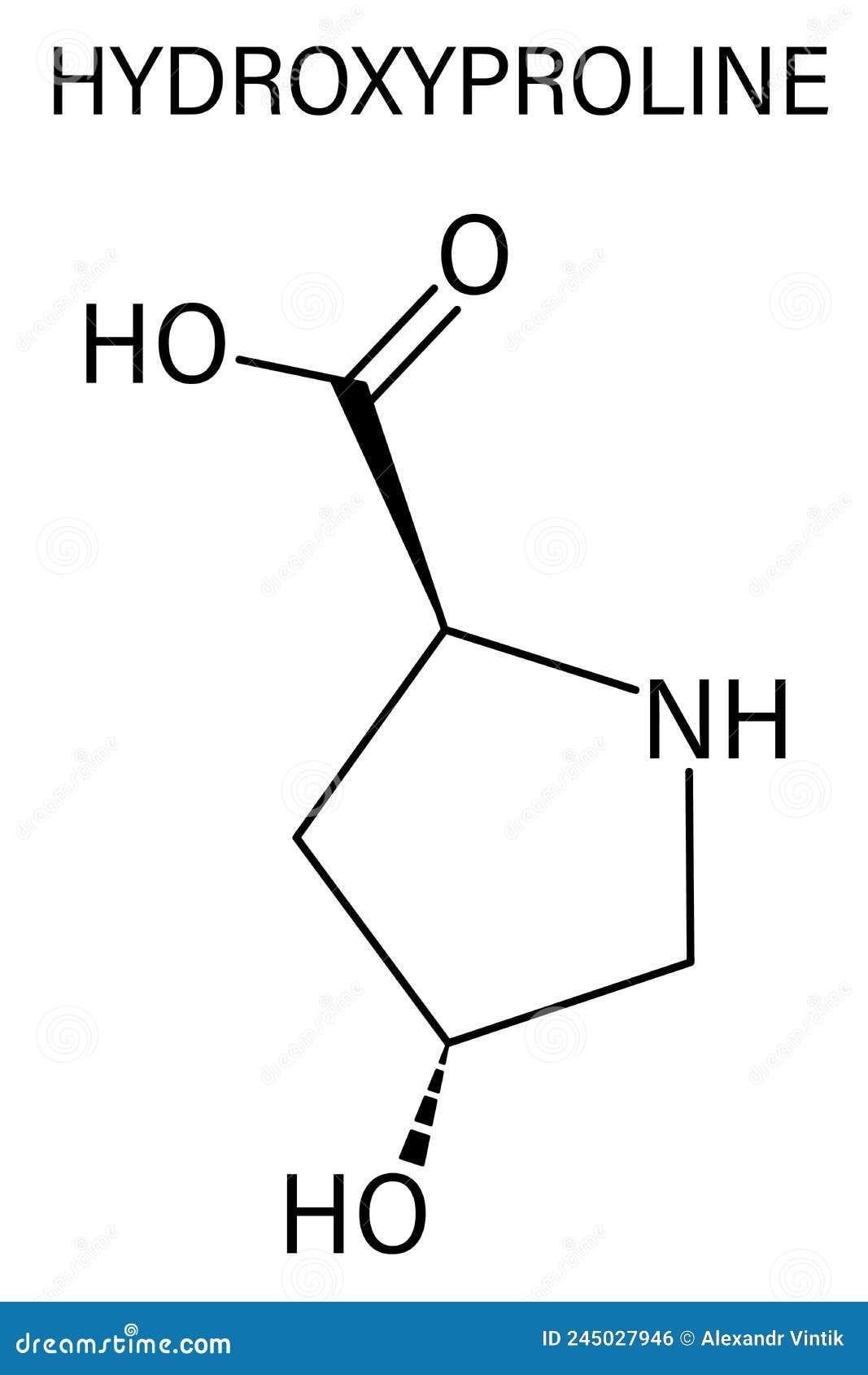 Hydroxyproline, Hyp Amino Acid. Essential Component Of Collagen ...
