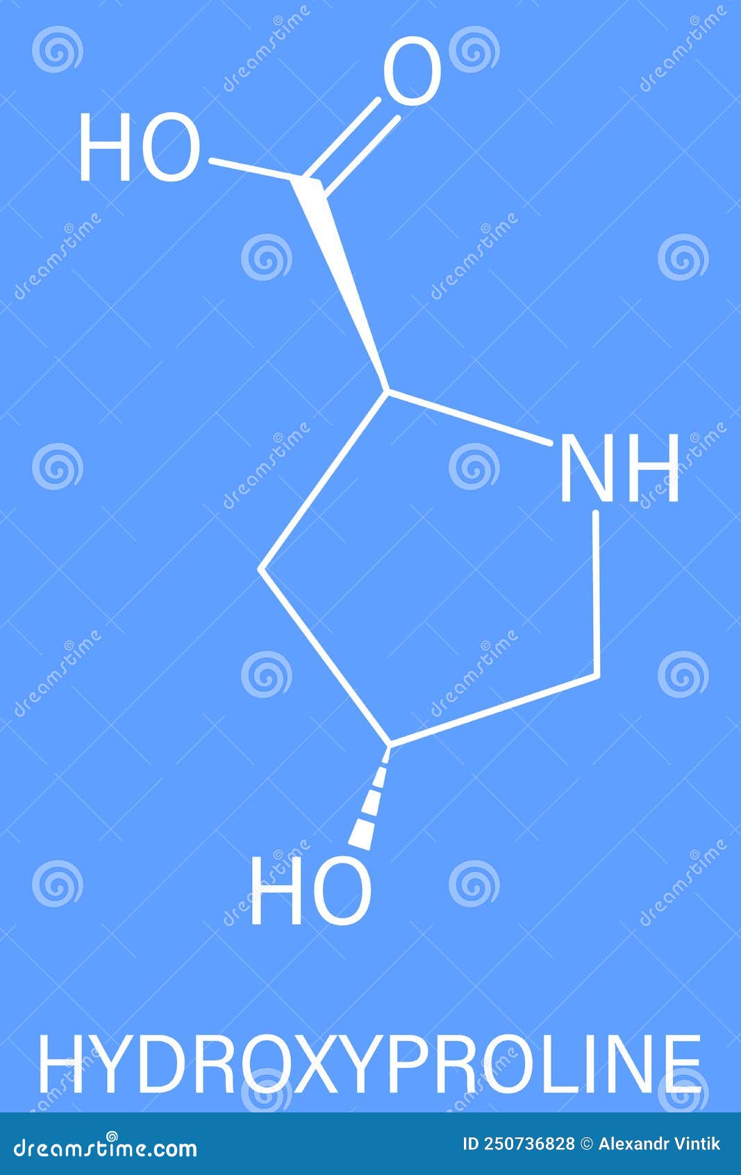 Hydroxyproline, Hyp Amino Acid. Essential Component of Collagen ...