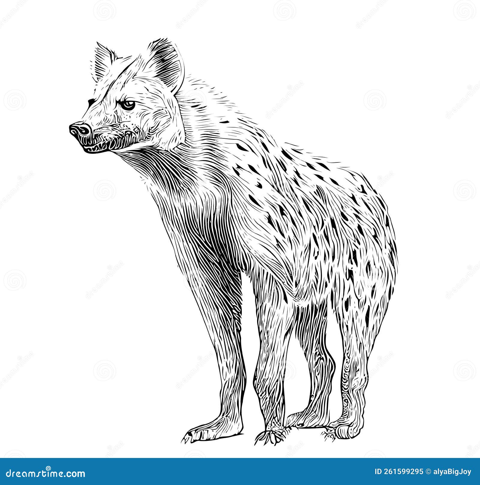 Hyena Standing Sketch Abstract Hand Drawn Engraving Style Stock Vector ...