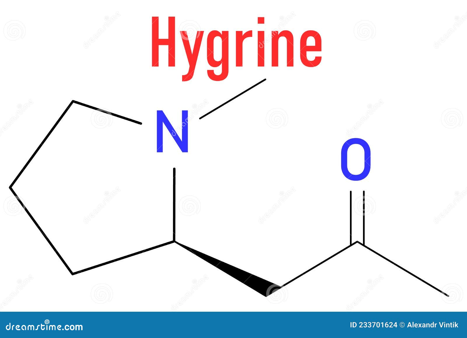 Hygrine Coca Alkaloid Molecule. Skeletal Formula Stock Vector ...