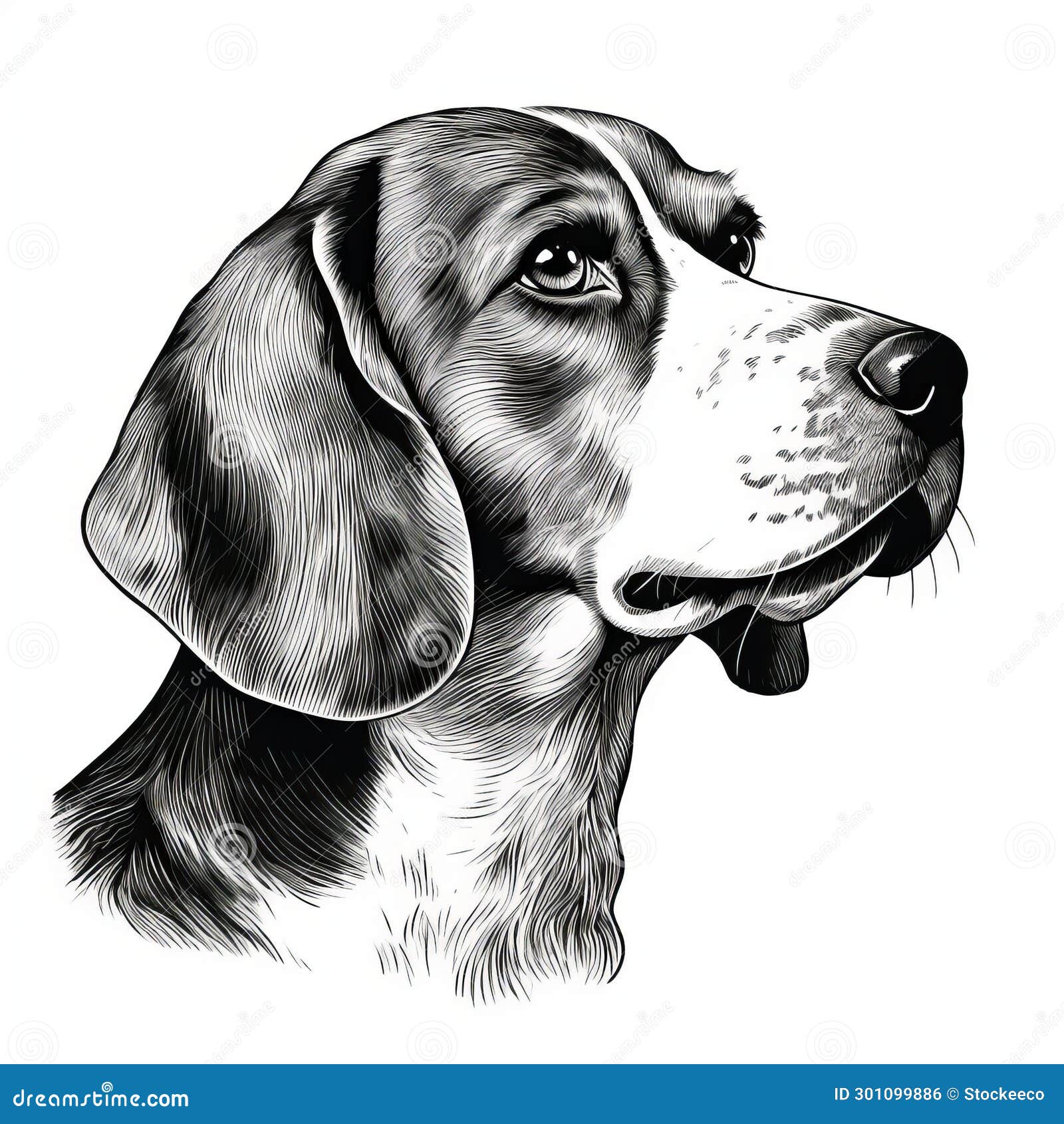 Hyper-realistic Beagle Dog Black and White Vector Illustration Stock ...