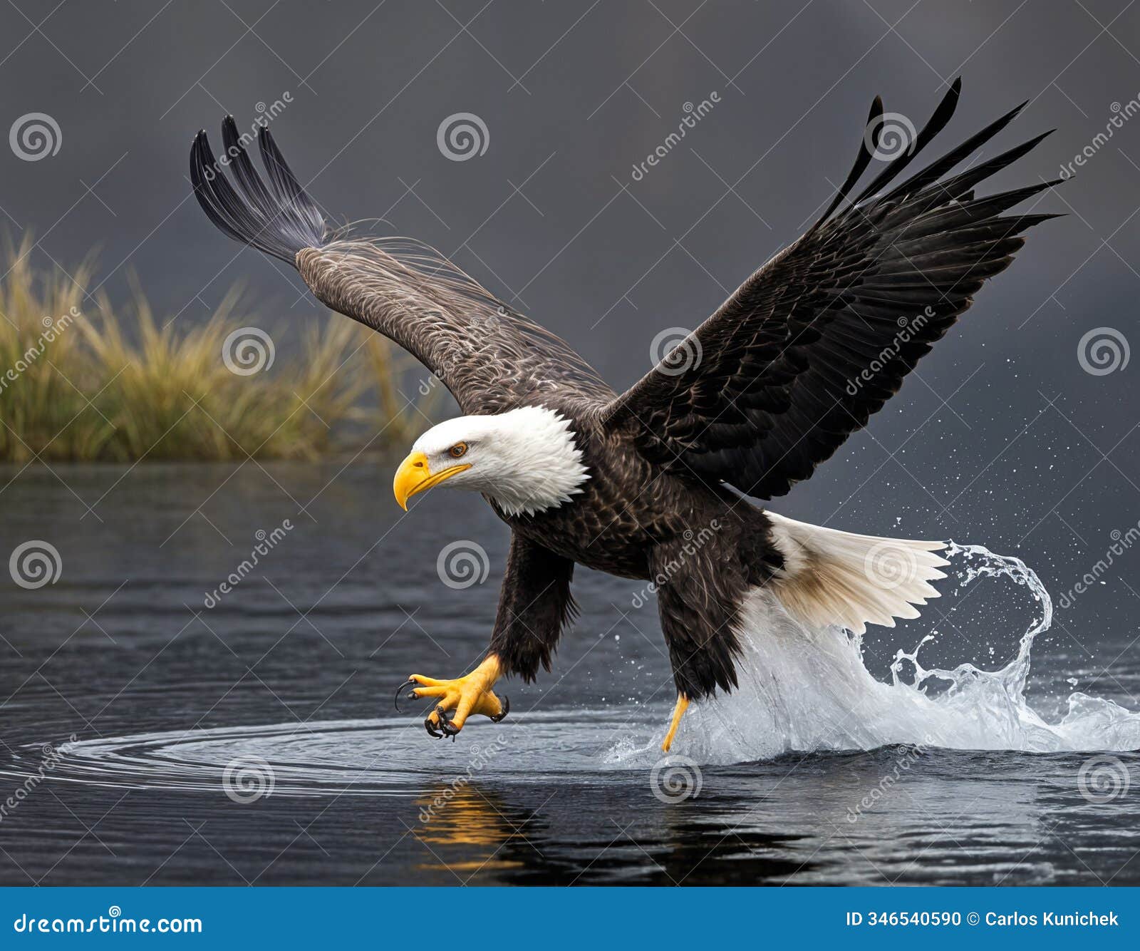 A Hyper Realistic Detailed Image Of A Bald Eagle Swooping On Water ...