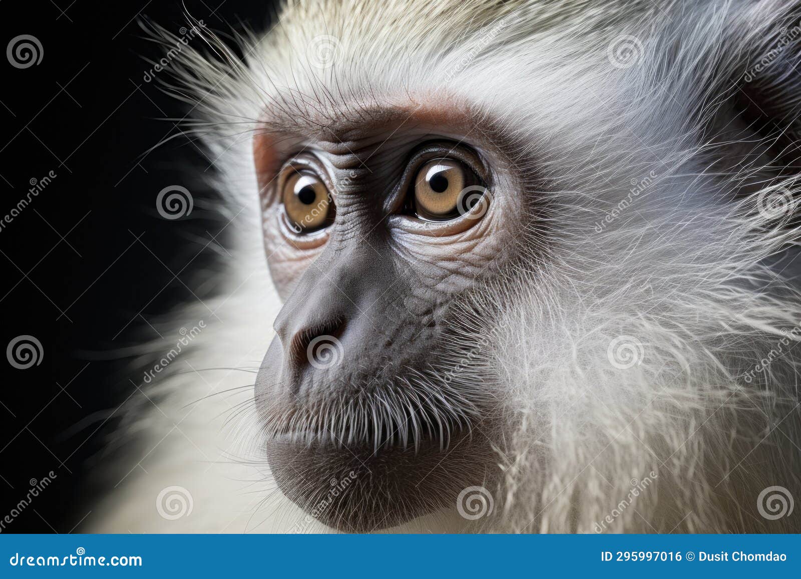 Hyper Realistic Extreme Close Up Face Monkey. Generative AI Stock Photo ...