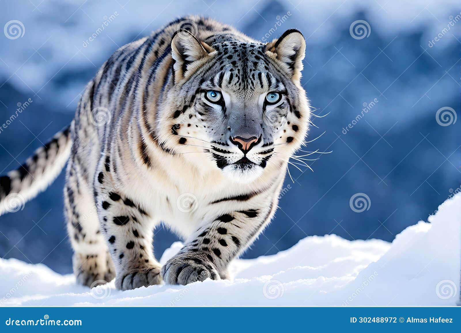 Hyper Realistic Tiger Photography Stock Illustration - Illustration of ...