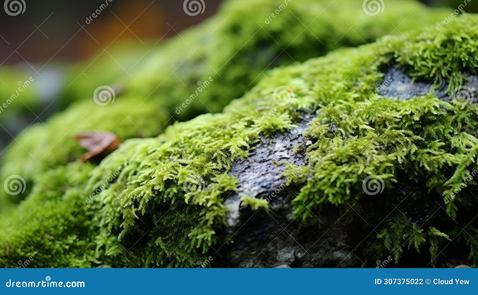 Hyper Zoom of Moss-covered Stone Texture Stock Illustration ...
