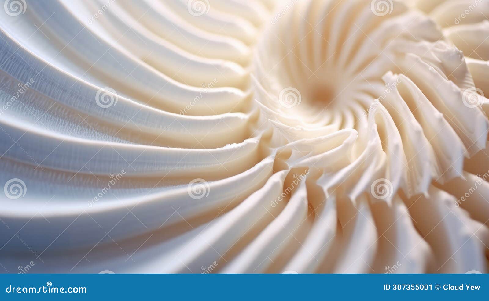 Hyper Zoom into the Texture of a Seashell S Spiral Stock Illustration ...