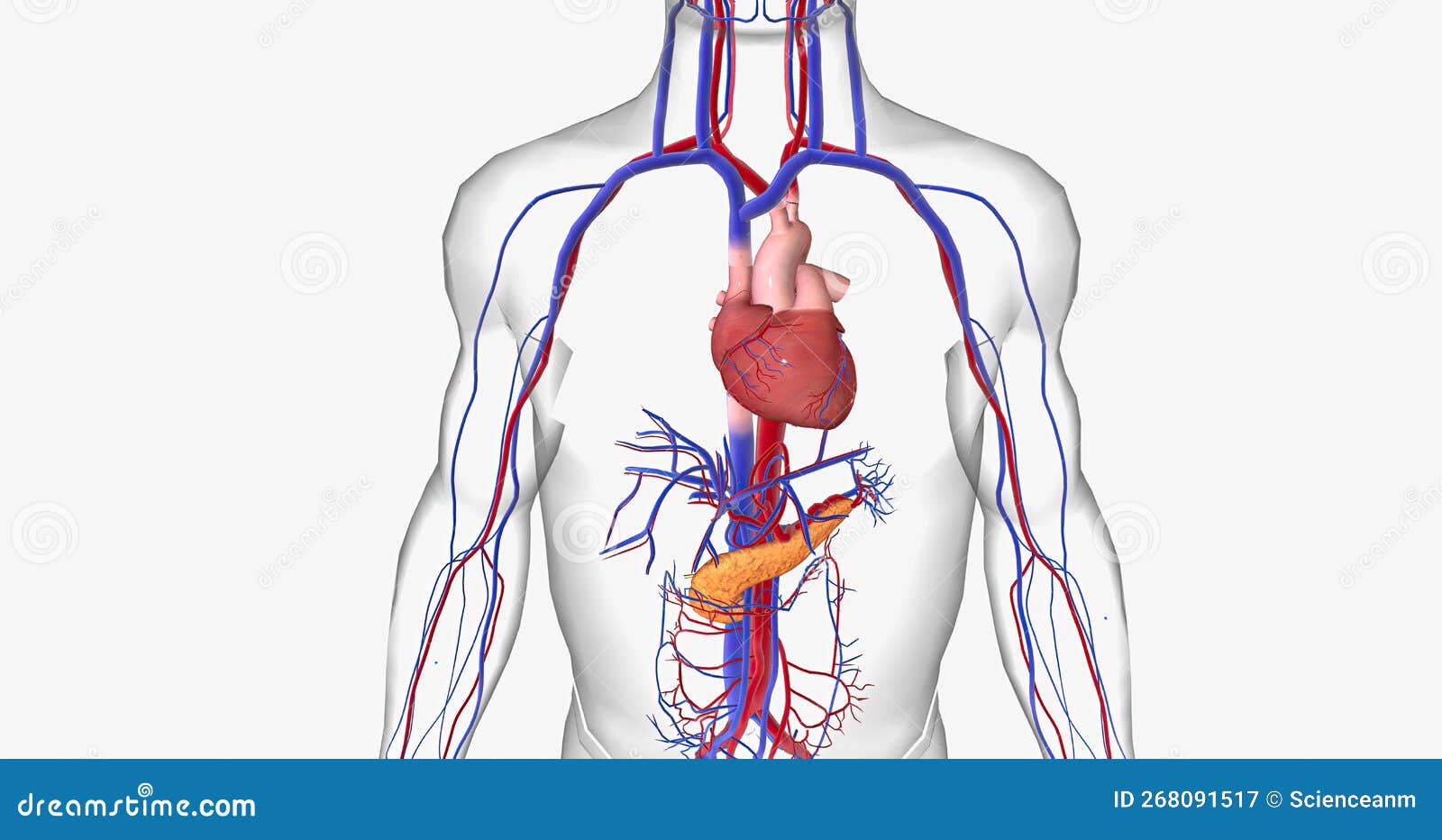 Hyperglycemia is a Condition Characterized by Elevated Levels of ...