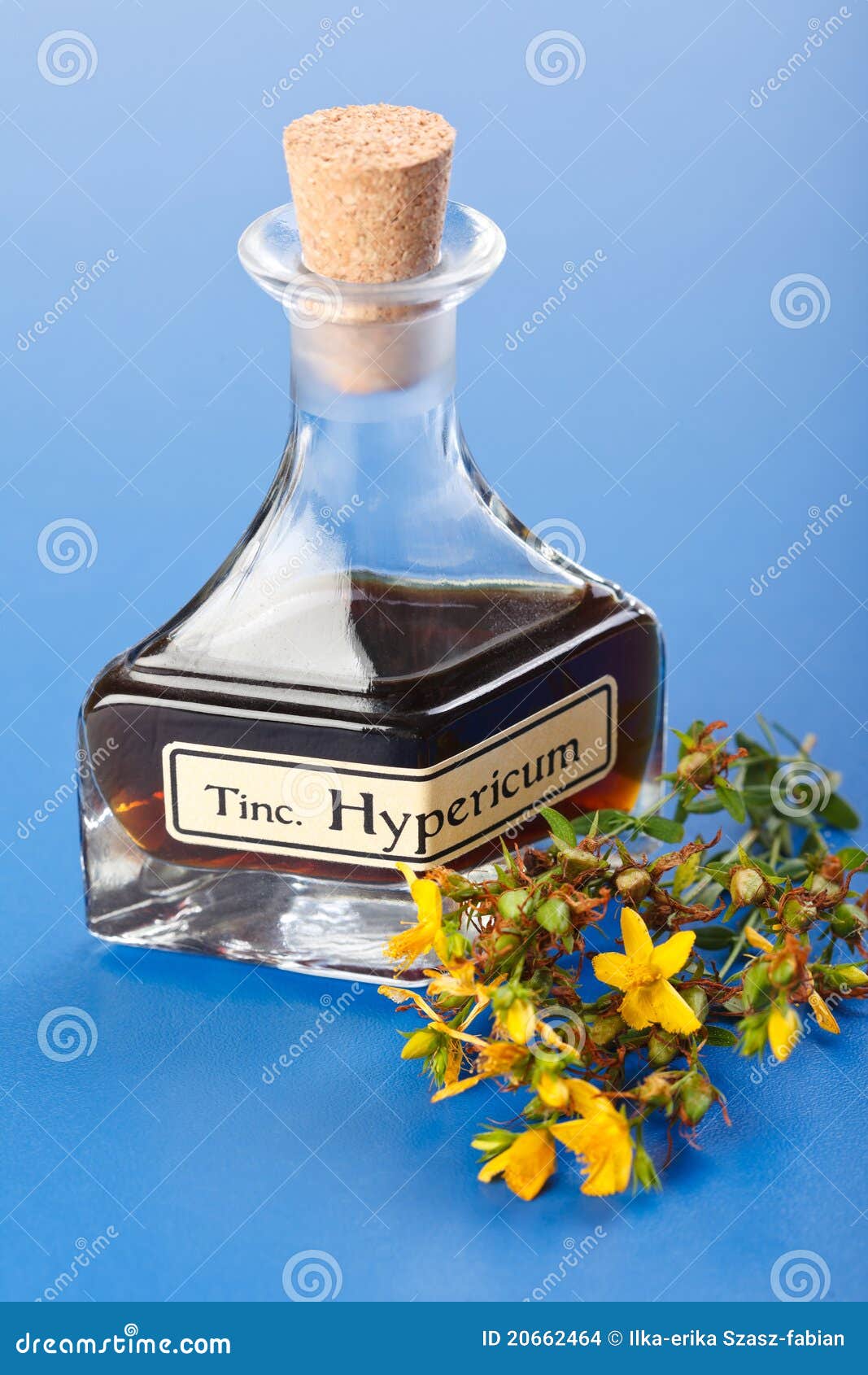 Hypericum Plant and Extract Stock Photo - Image of blue, bottle: 20662464