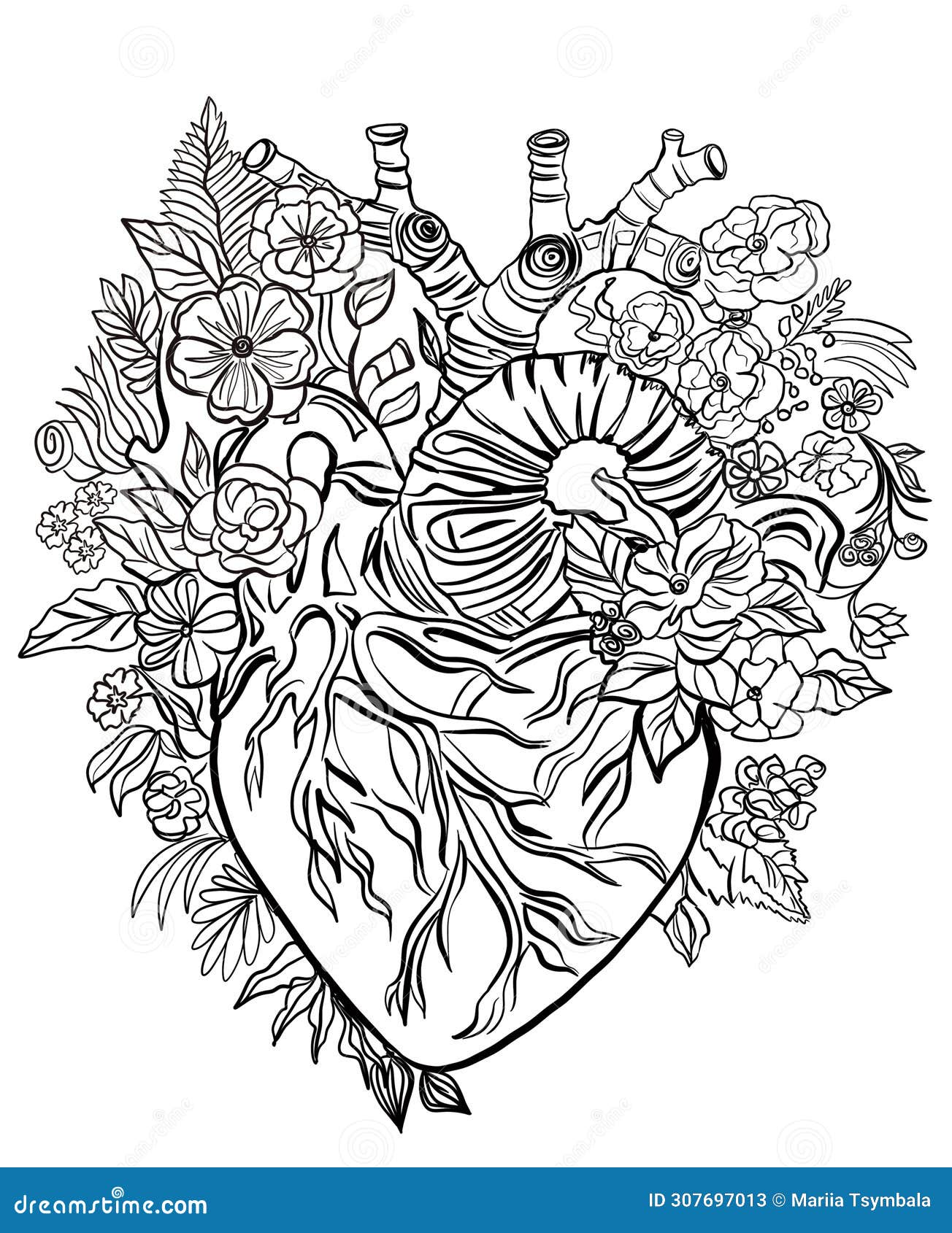 Hyperrealistic Black And White Coloring Page Of A Human Heart With A ...