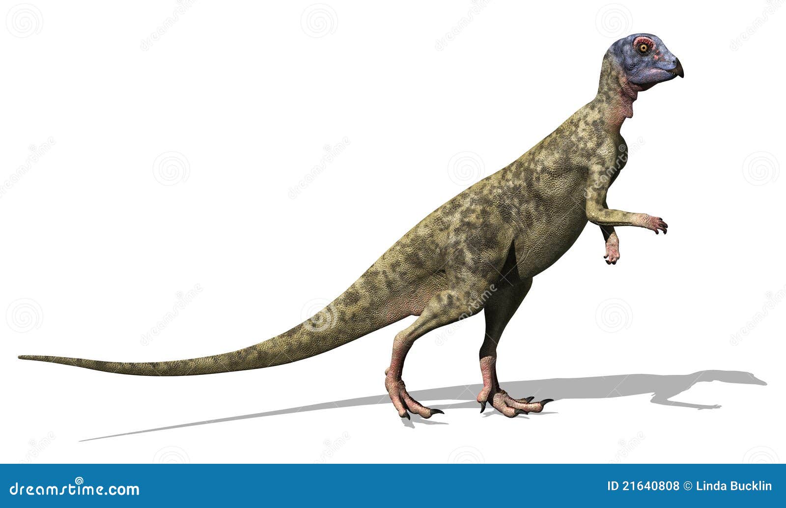 Hypsilophodon Dinosaur stock illustration. Illustration of dinosaur ...