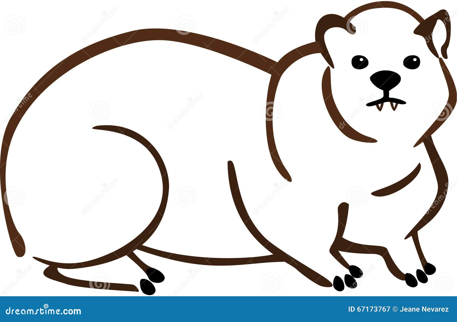 Rock Hyrax Procavia Capensis Skeleton In Profile View Cartoon Vector ...