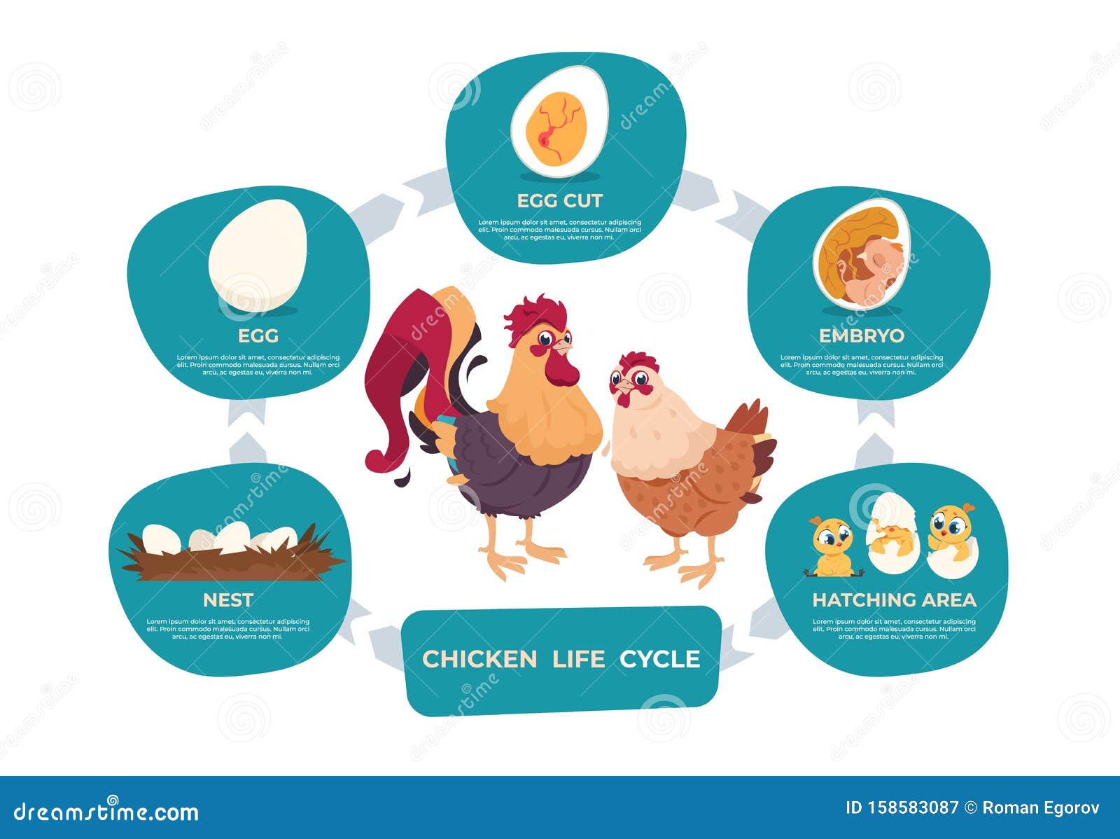 Ei Huhn Legt Stock Illustrationen, Vektoren, & Kliparts - 8 Stock ... Ei Huhn Legt Stock Illustrationen, Vektoren, & Kliparts - 8 Stock ...