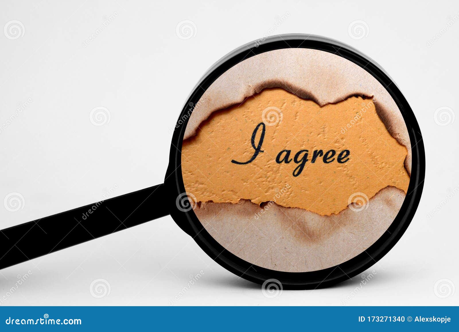 I agree concept stock photo. Image of agree, application - 173271340