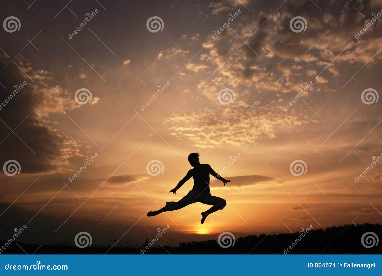 I can fly stock photo. Image of excitement, active, leaping - 804674