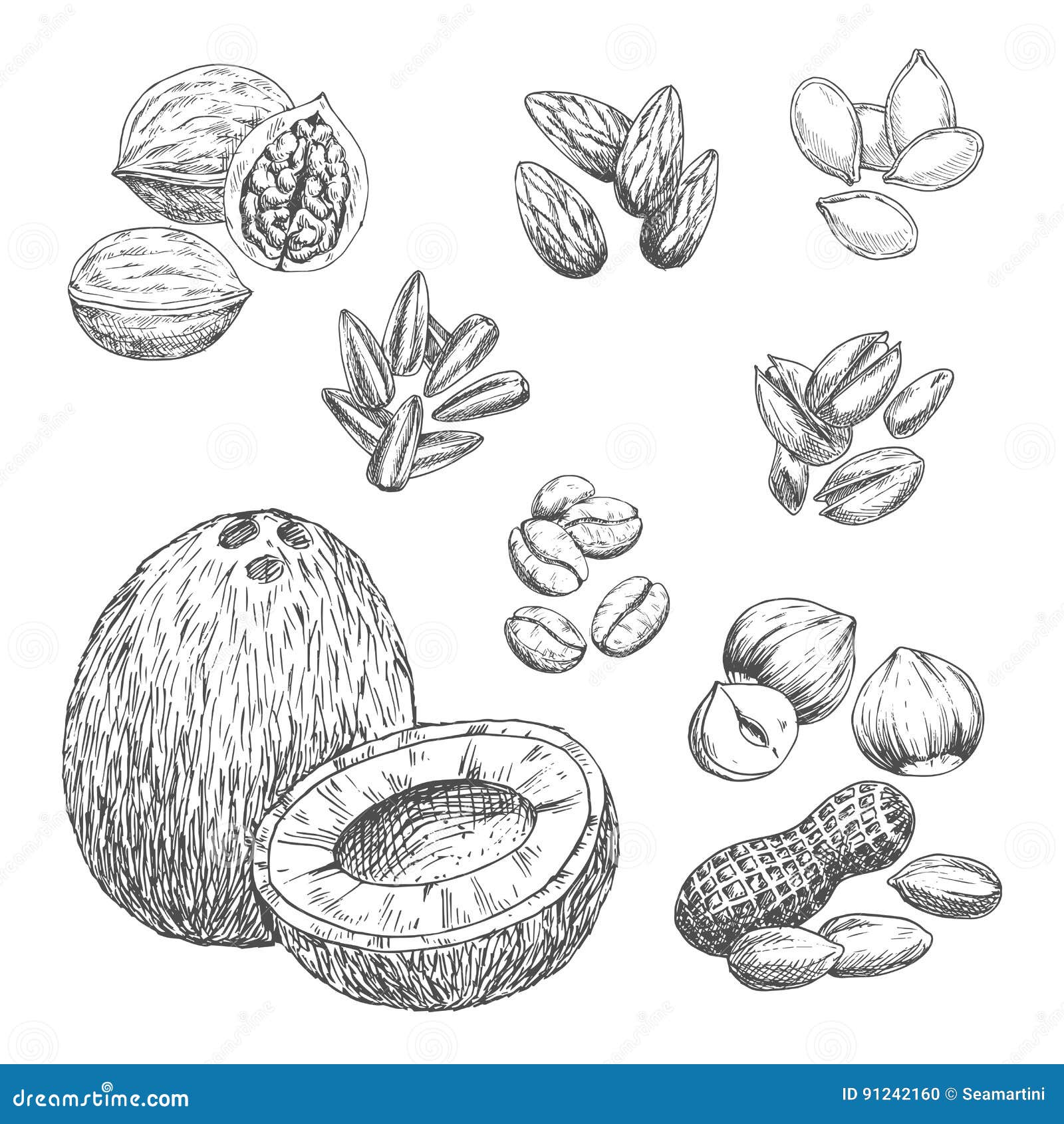 I Dadi, Ed I Cereali Vector Le Icone Di Schizzo Illustrazione ...