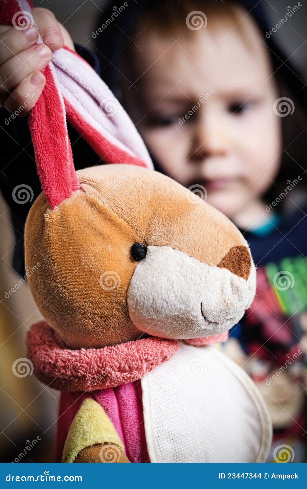 I have caught you stock photo. Image of rabbit, hare - 23447344