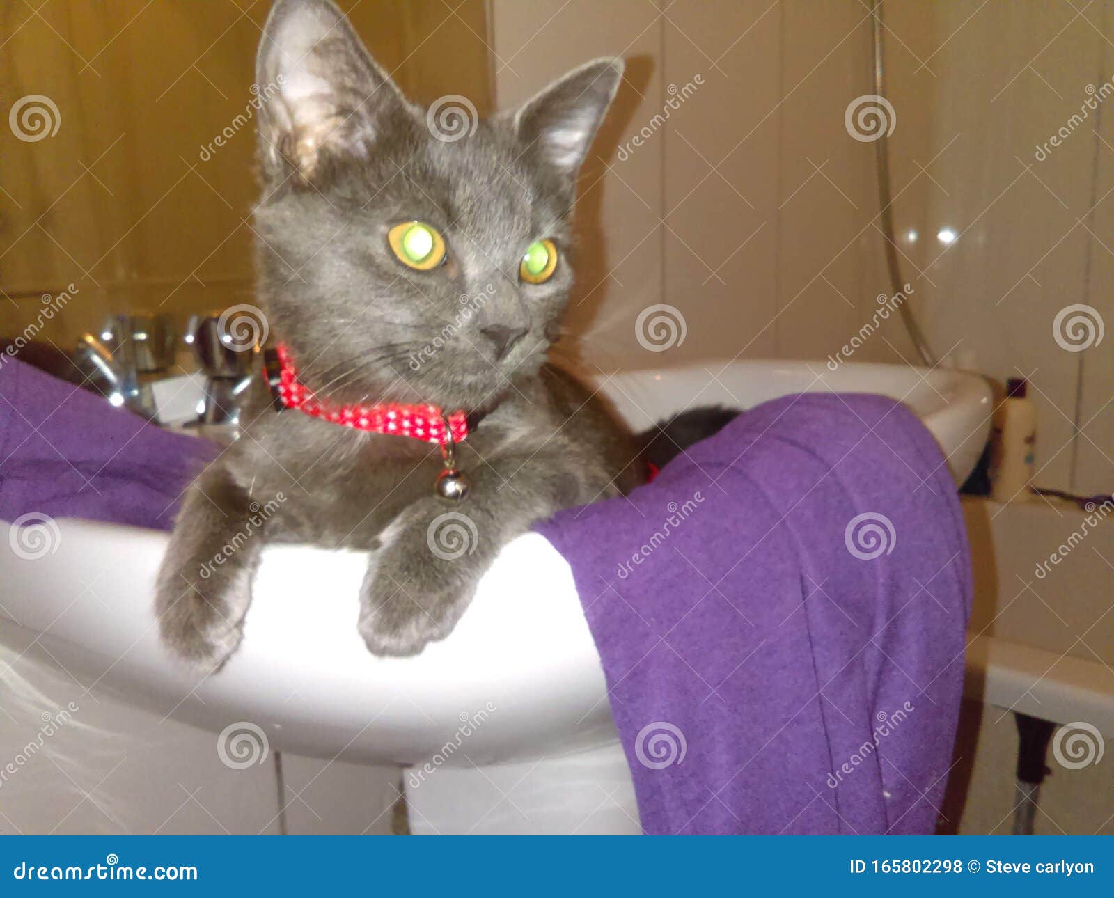 I Have that Sinking Feeling Stock Photo - Image of sinking, sink: 165802298