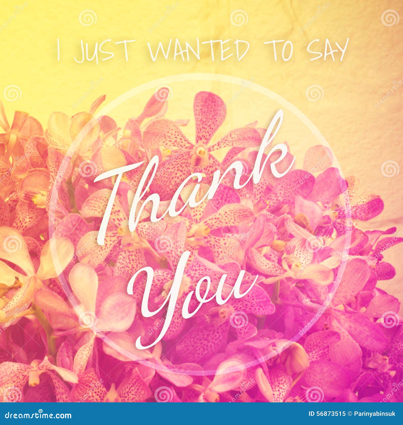 I Just Wanted To Say Thank You Stock Image - Image of message, frame ... I Just Wanted To Say Thank You Stock Image - Image of message, frame ...