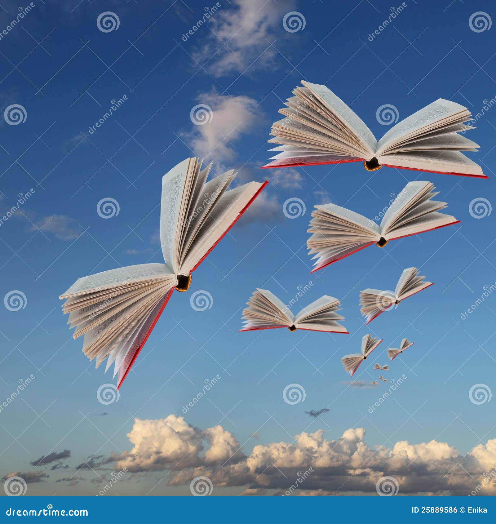 I libri stanno volando fotografia stock. Immagine di bianco - 25889586