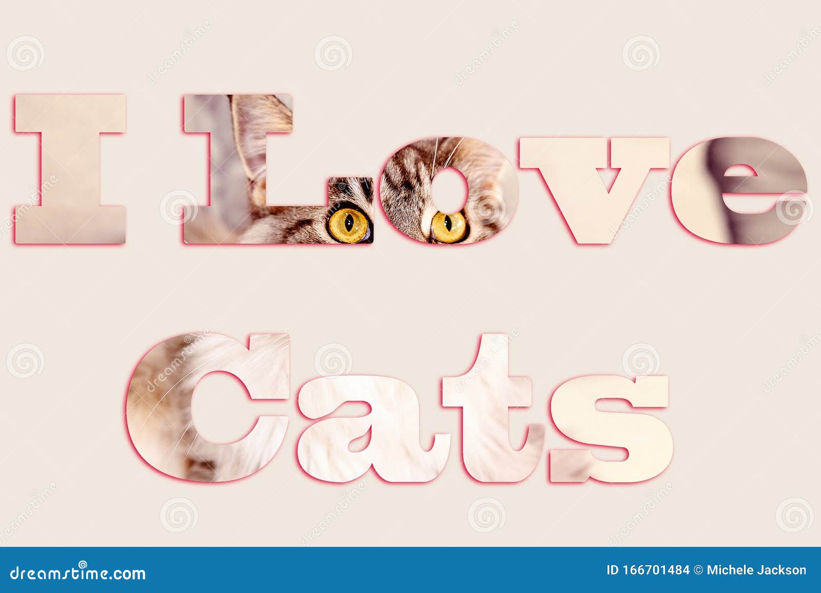 I Love Cats Text from Cat Image Stock Photo - Image of domestic ...