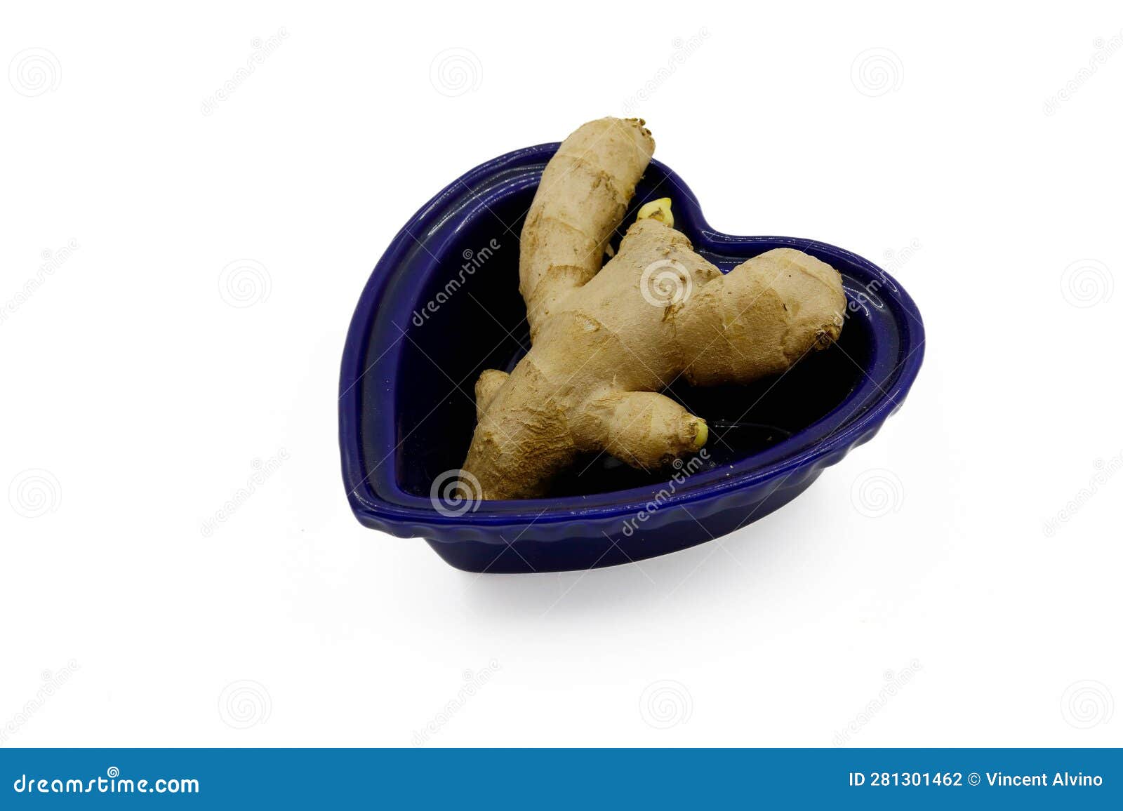 I Love Ginger stock photo. Image of grow, food, ginger - 281301462