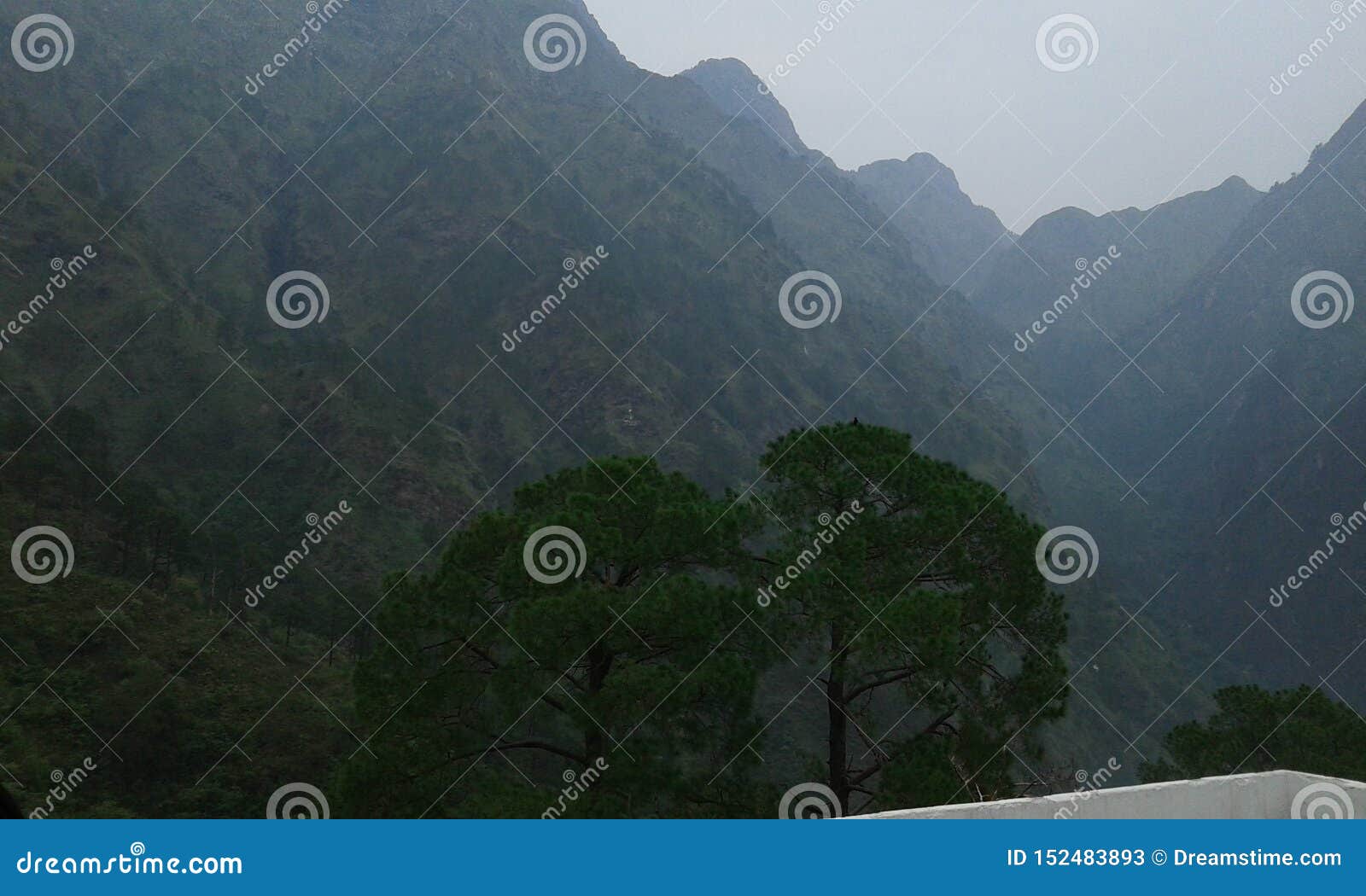 I Love India& X27;n Nechur Stock Image - Image of vaishno, nechur ...
