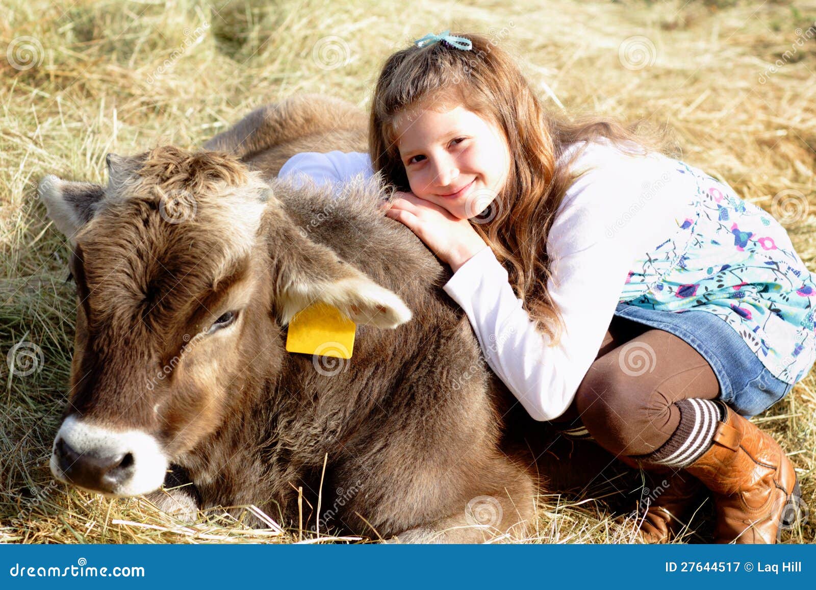 I love my cow stock image. Image of brown, adoration - 27644517