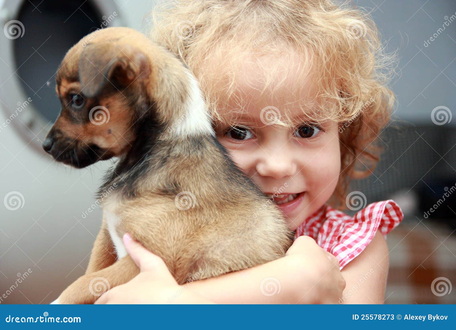 I love my dog! stock image. Image of positivity, blond - 25578273