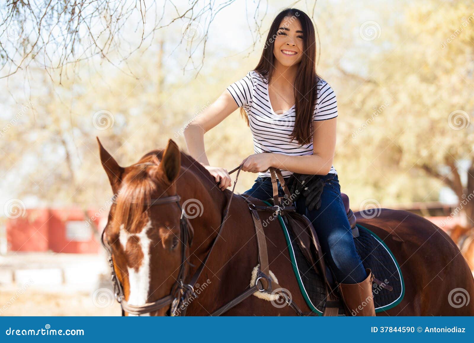 I love riding my horse! stock photo. Image of purebred - 37844590