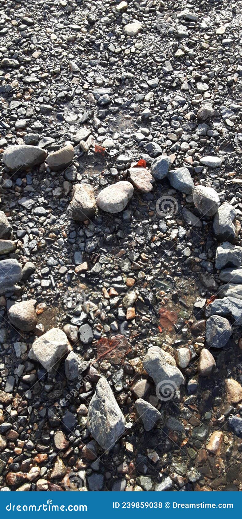 I love rocks stock photo. Image of lake, rocks, beautiful - 239859038