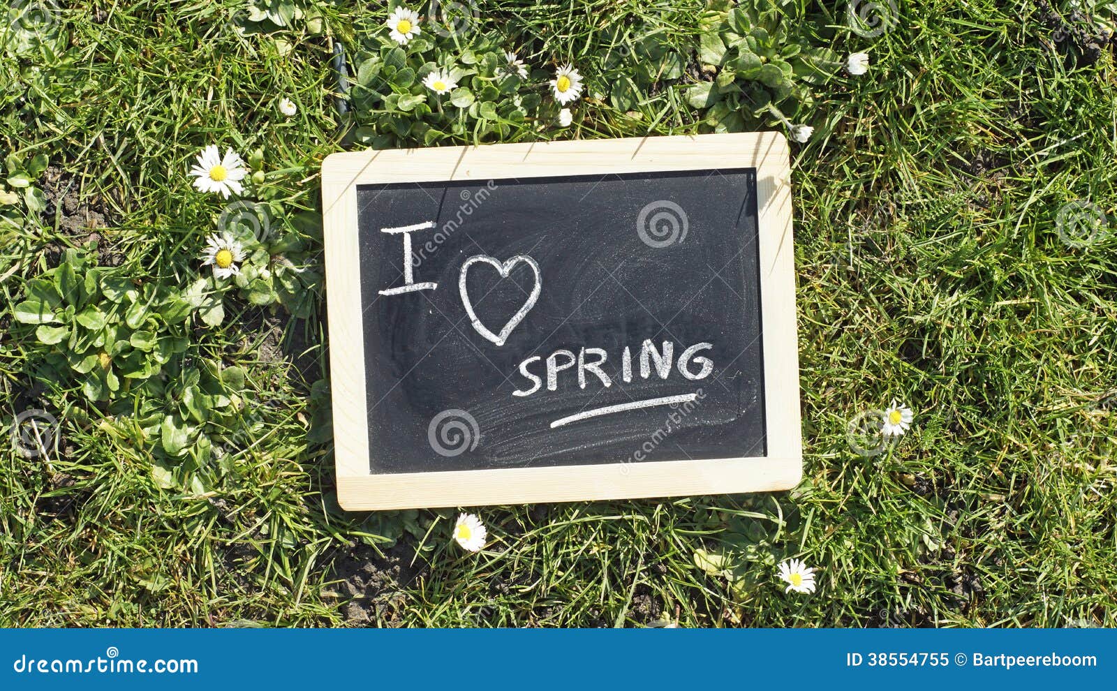 I love spring stock image. Image of horizontal, college - 38554755