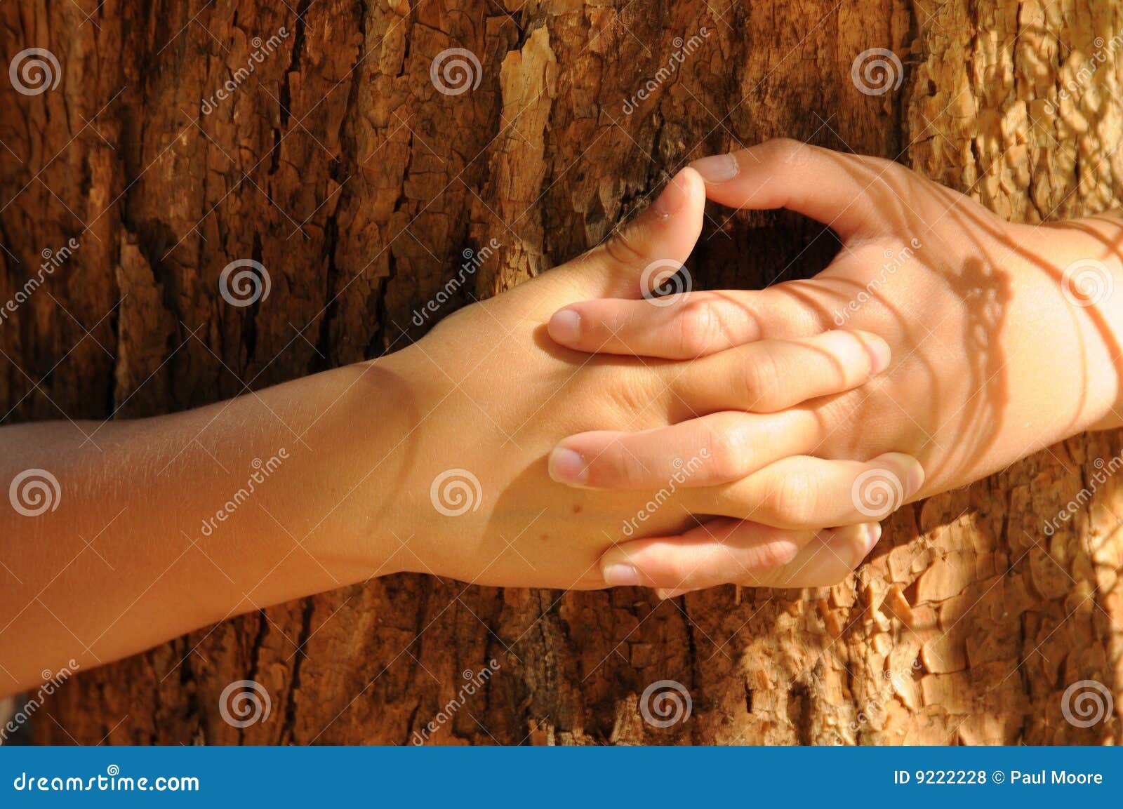 I Love Trees stock photo. Image of love, grip, garden - 9222228