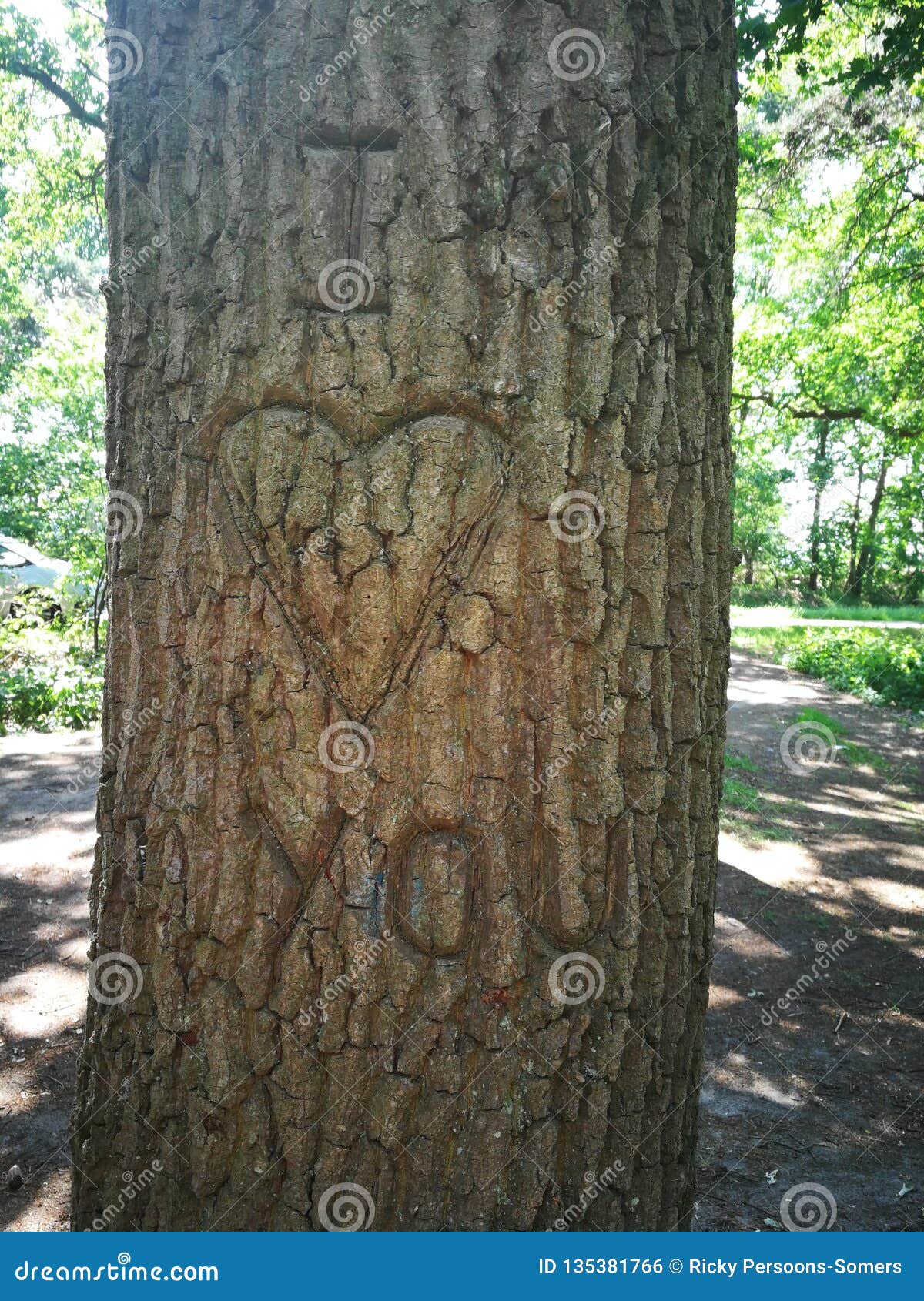 I love you stock photo. Image of trunk, love, tree, carved - 135381766 I love you stock photo. Image of trunk, love, tree, carved - 135381766