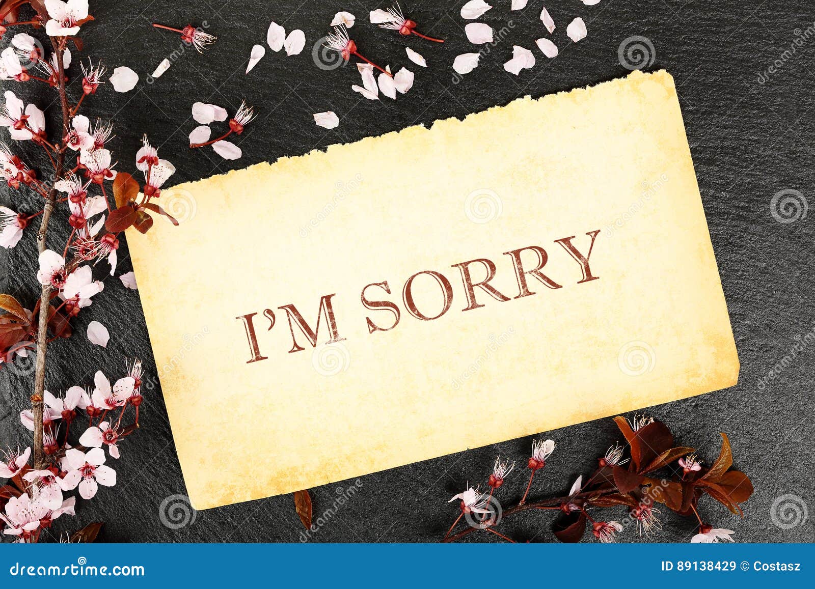 I`m sorry stock image. Image of flowers, behave, paper - 89138429