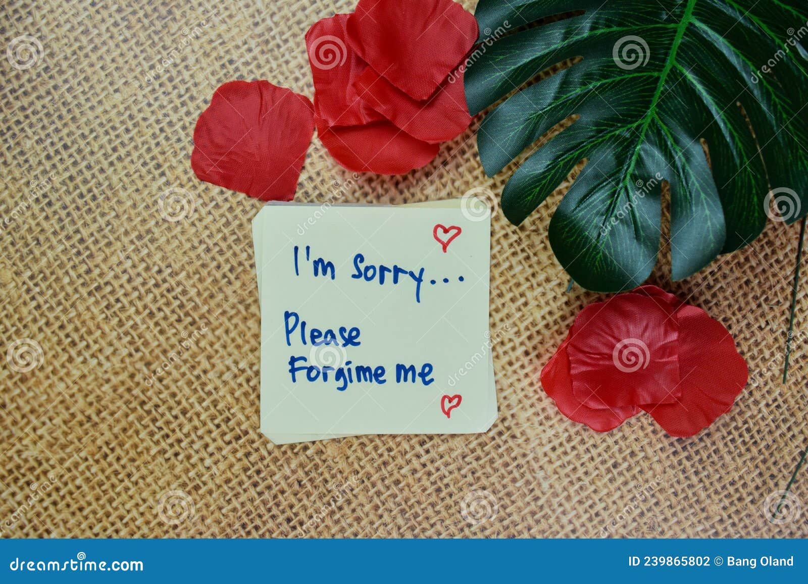 Please Forgive Me The Written Note On The Pink Background With Cute Sad ...