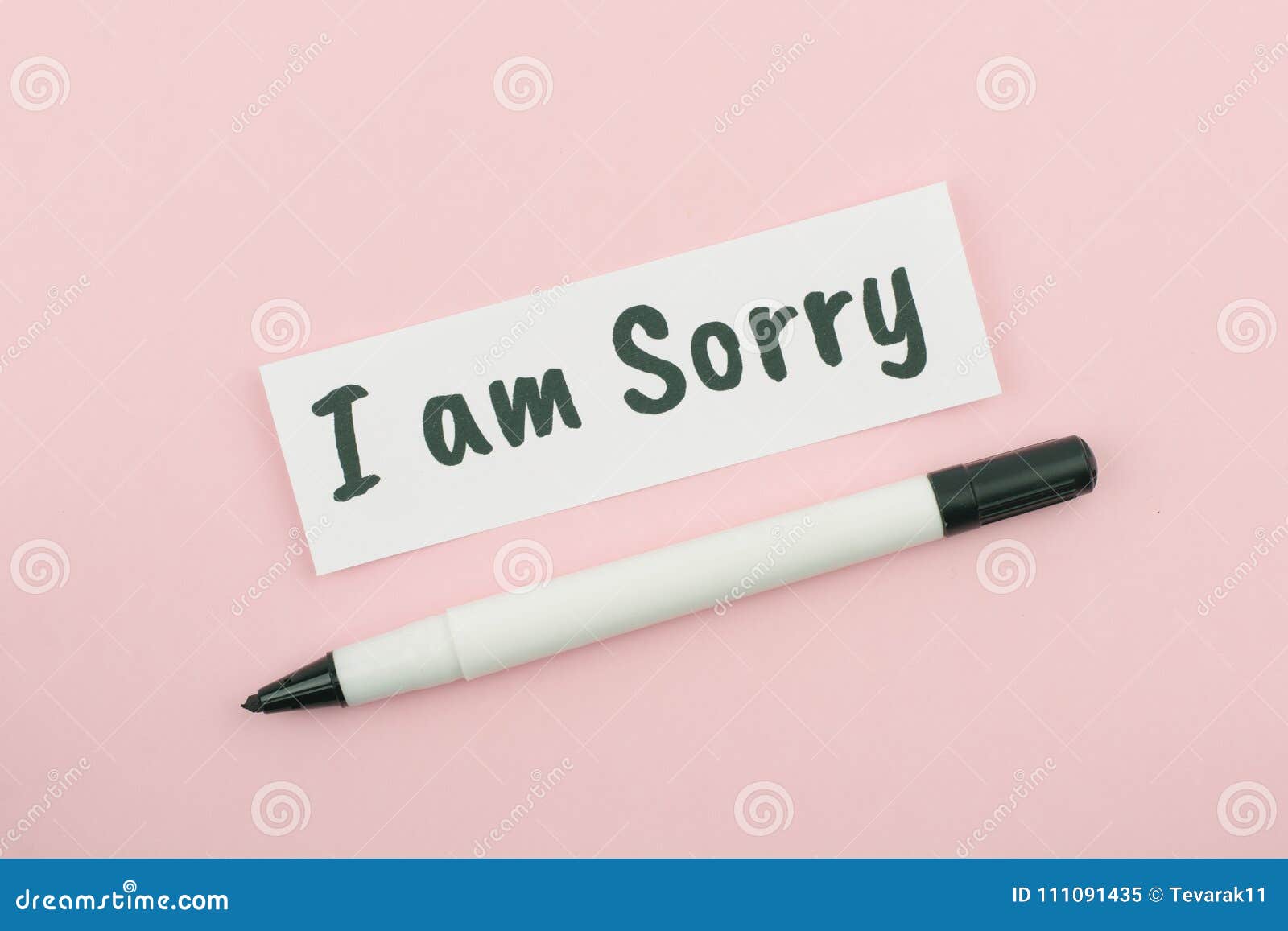 I`m Sorry Text Concept Write on Paper Stock Image - Image of aogize ...