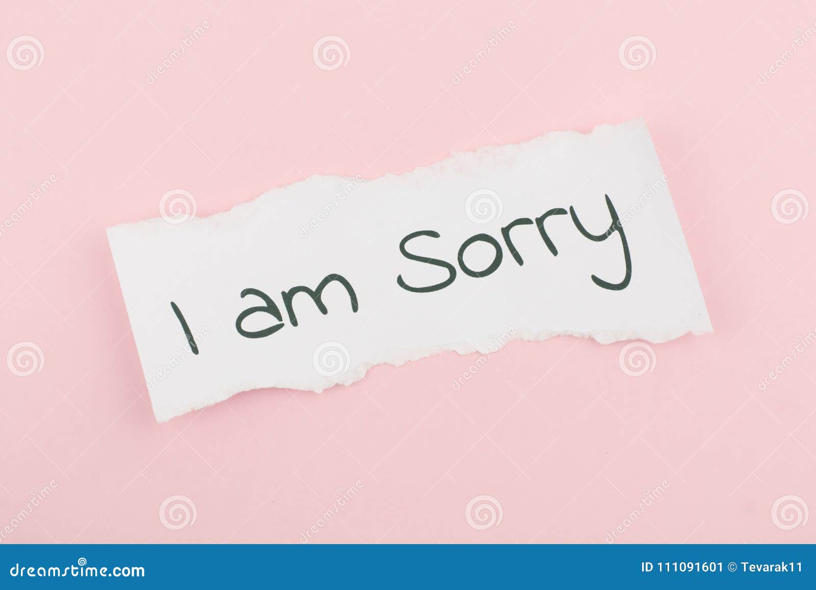 I`m Sorry Text Concept Write on Paper Stock Image - Image of sign ...