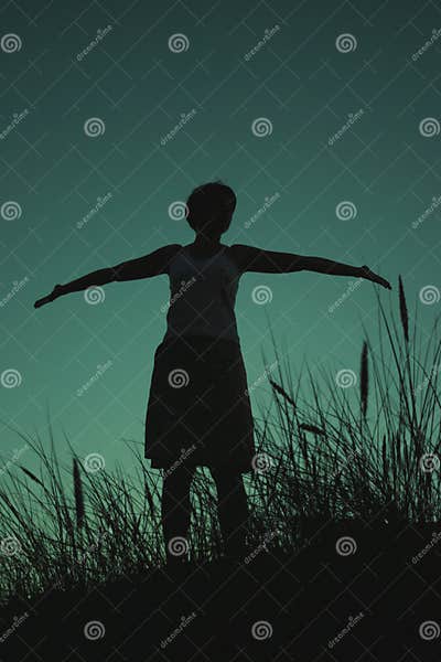 I m on top of the world stock image. Image of achievement - 856649